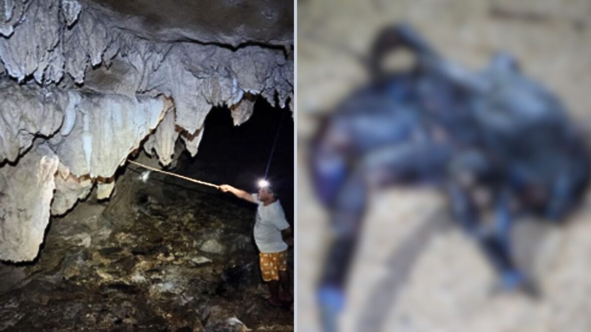 Scientist Stunned By Discovery Of Giant Blue Animal In Island Cave ...