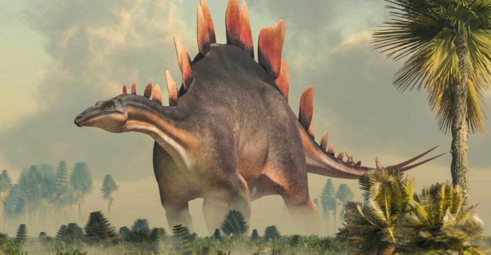 Stegosaurus, An Iconic Dinosaur Of The Jurassic Period