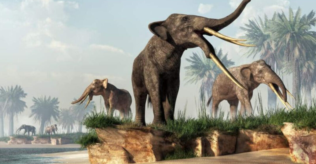 The 10 Incredible Ancient Elephants, From Tiny Swimmers To Giant Shovel ...