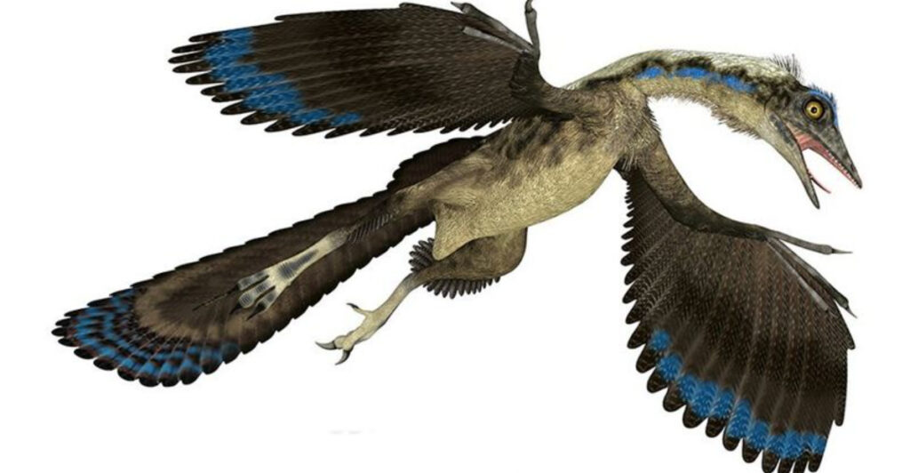 The Smallest Dinosaur Ever: Just 11 Inches Long With A Feathered Tail