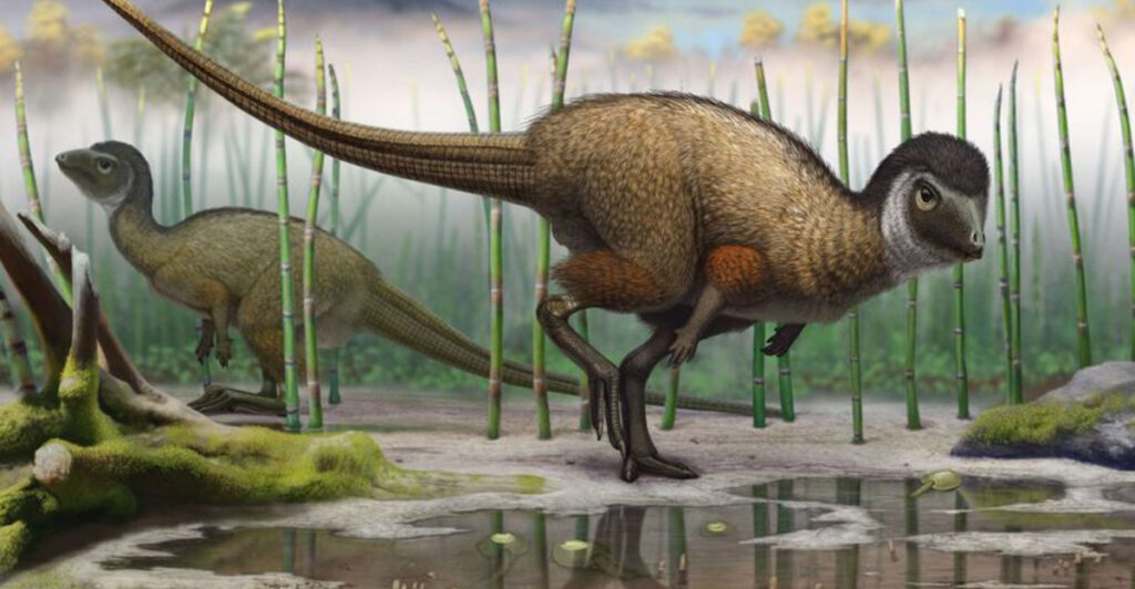 Were Feathers The Norm Or The Exception In Dinosaurs?