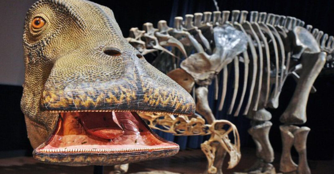 Which Dinosaur Had 500 Teeth? This Prehistoric Jaw Was Truly Unique