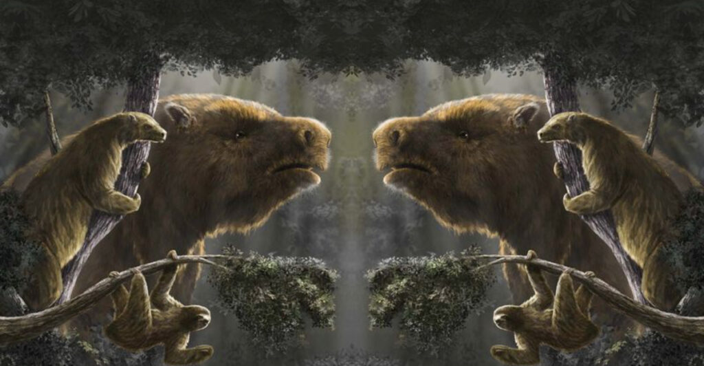 Why Giant Ground Sloths Evolved Three Separate Times For The Same Purpose?