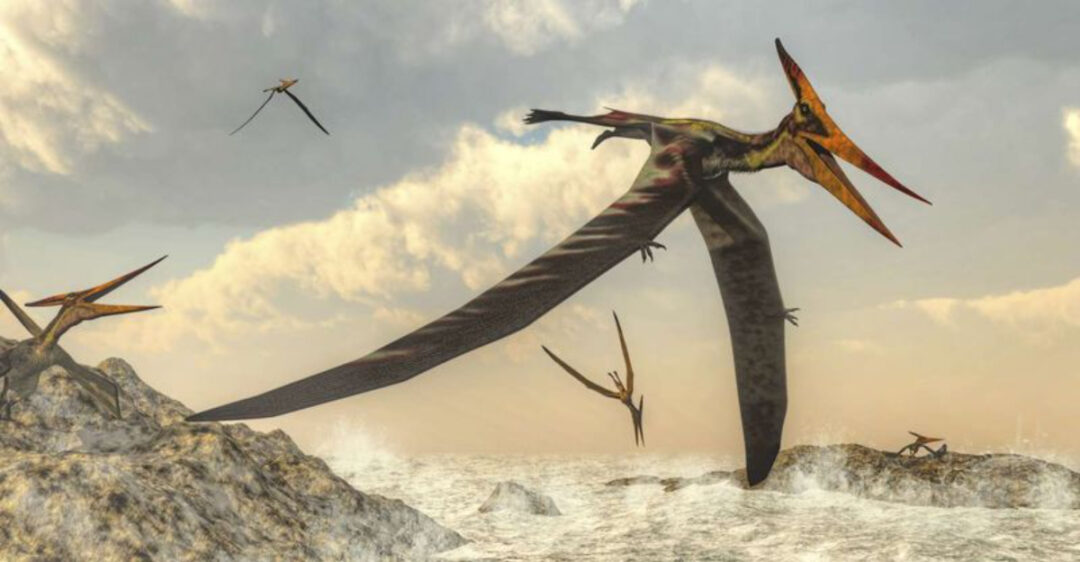 10 Extinct Animals People Keep Claiming To See In American Wilderness ...