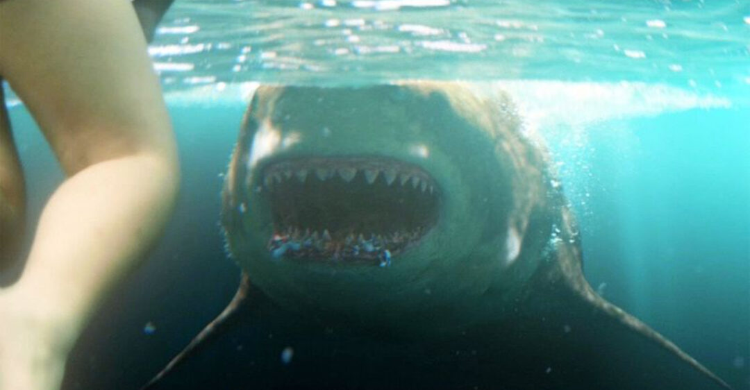 13 Animal Attack Movies That Are Just As Thrilling As Jaws
