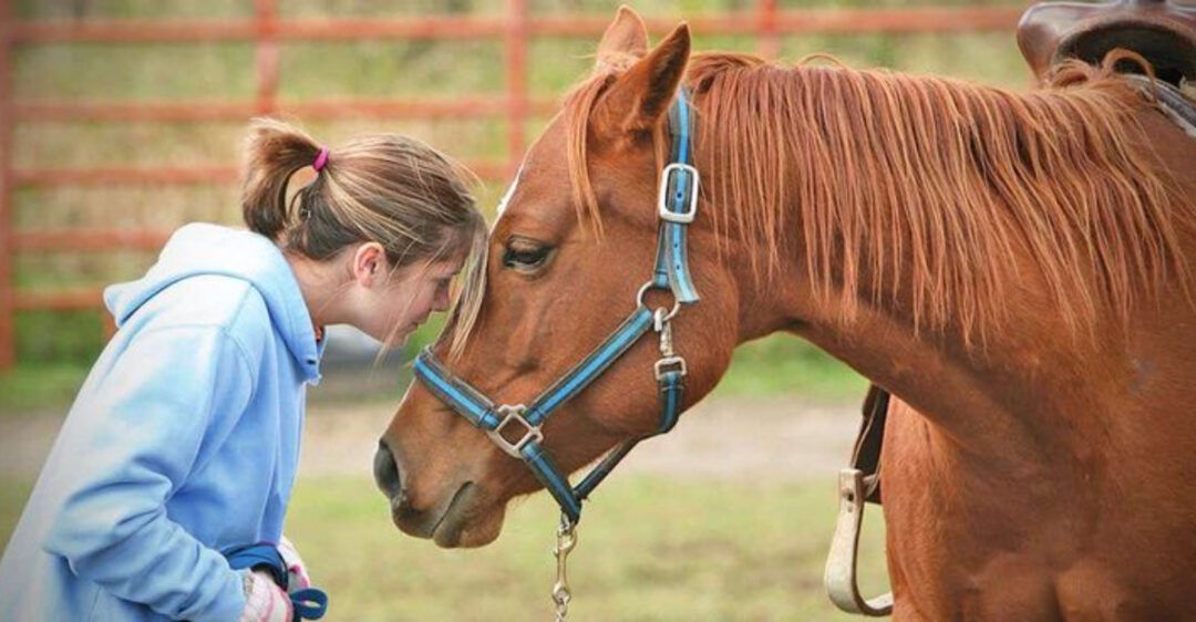 16 Animals That Helped Heal People In Unimaginable Ways