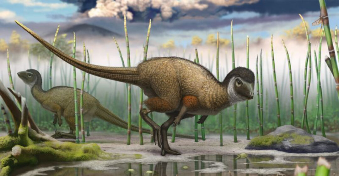 15 Dinosaur Species That Were Shockingly Small