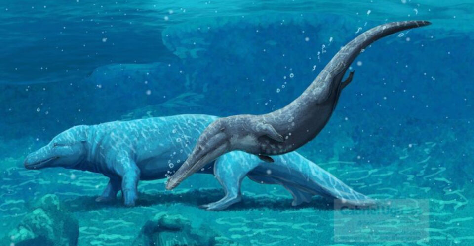 21 Extinct Whale Species That Were Stranger Than Anything Alive Today