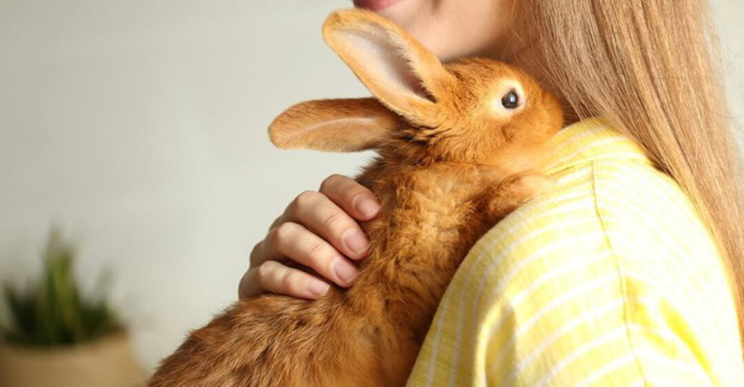 8 Friendliest Animals On Earth That Love Human Interaction And 7 That ...