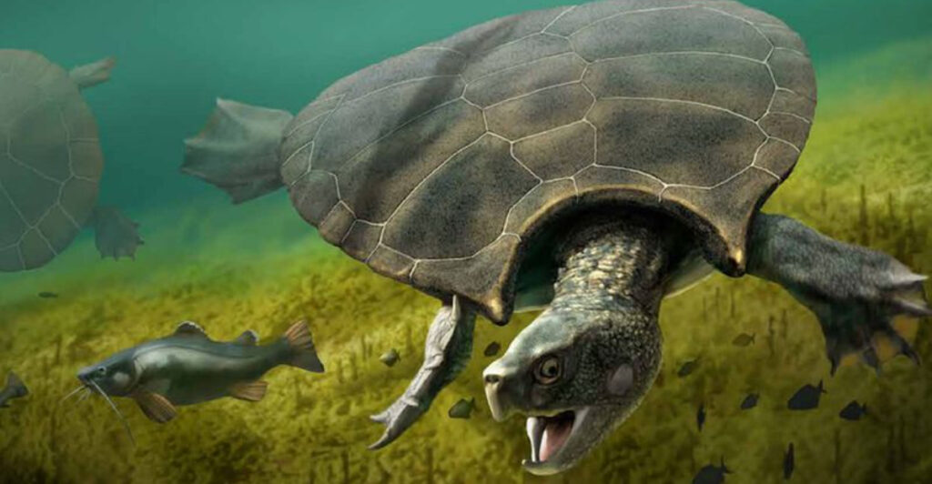 Ancient Sea Turtle Fossil Discovered In Montana