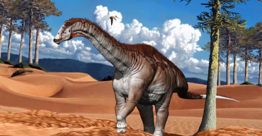 New Discovery Uncovers The Oldest Rebbachisaur Fossil Ever Found