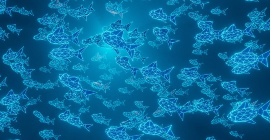 New Marine Life Database Promises To Revolutionize Ocean Research