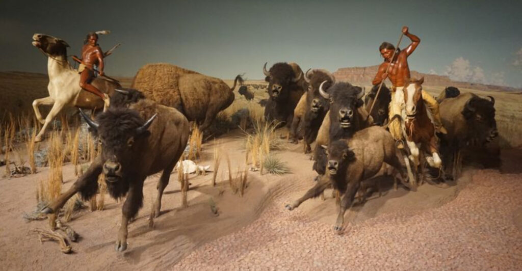 The Cultural Significance Of Bison To Native American Tribes