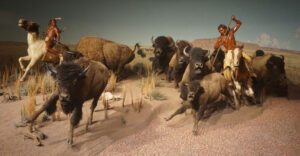 The Cultural Significance Of Bison To Native American Tribes