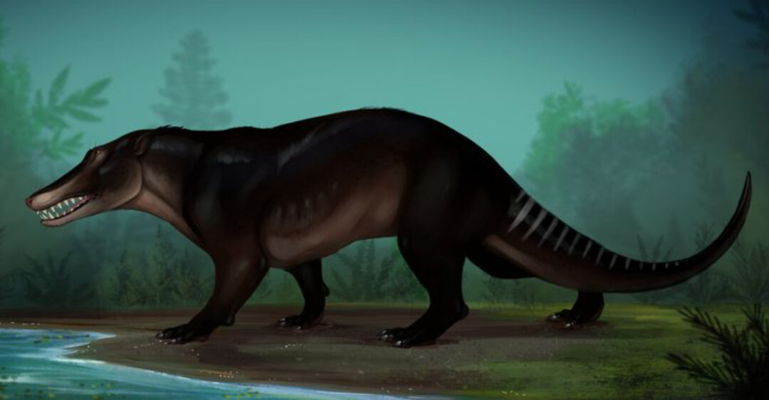 The Strange Prehistoric Creature That Connects Whales To Land Mammals