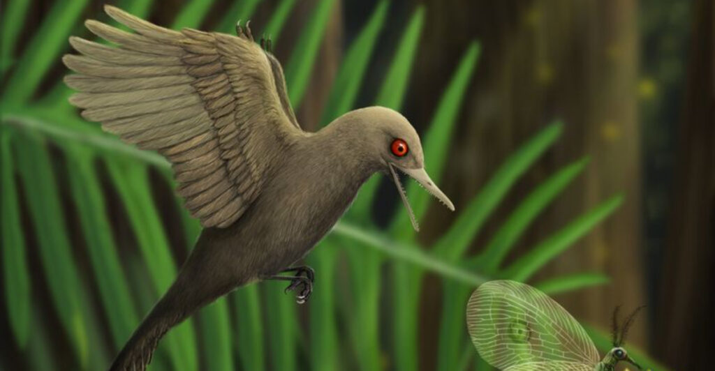 Was The Smallest Dinosaur Actually A Bird? Blurring The Cretaceous Line ...