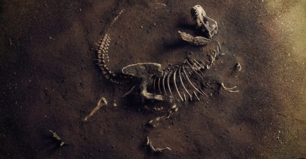 Why So Many Fossils Are Found In The Same Spots Known As Dino Graveyards