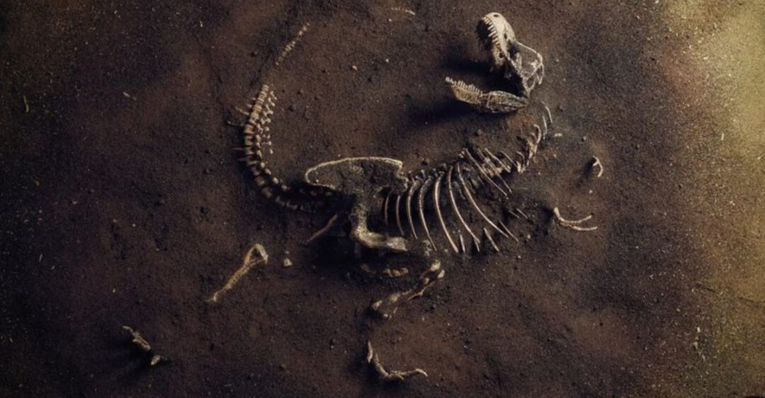 Why So Many Fossils Are Found In The Same Spots Known As Dino Graveyards
